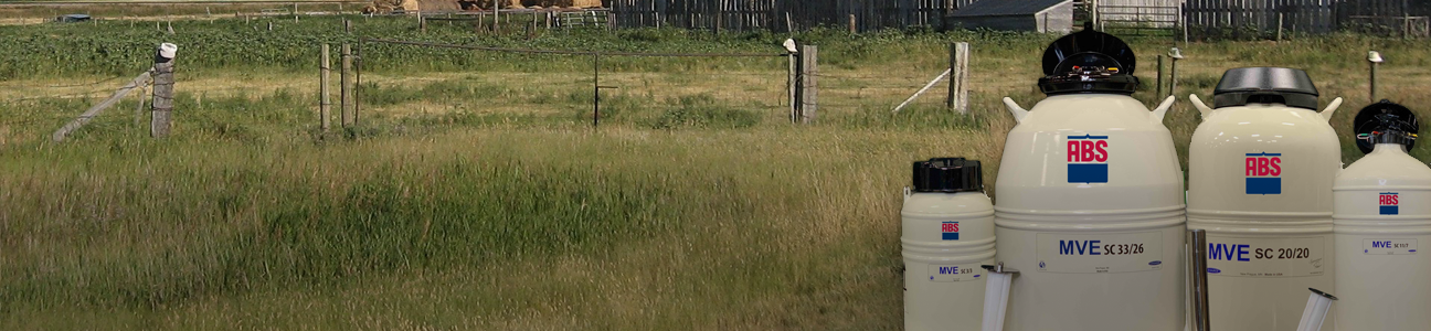 Supplies Archives - ABS Global Store US